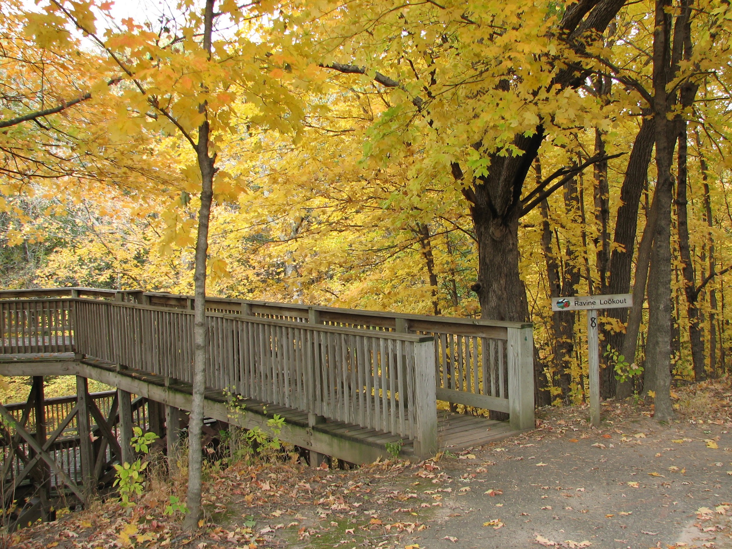 The Science Of Festive Fall Colors Carpenter Nature Center the-science-of-festive-fall-colors-carpenter-nature-center